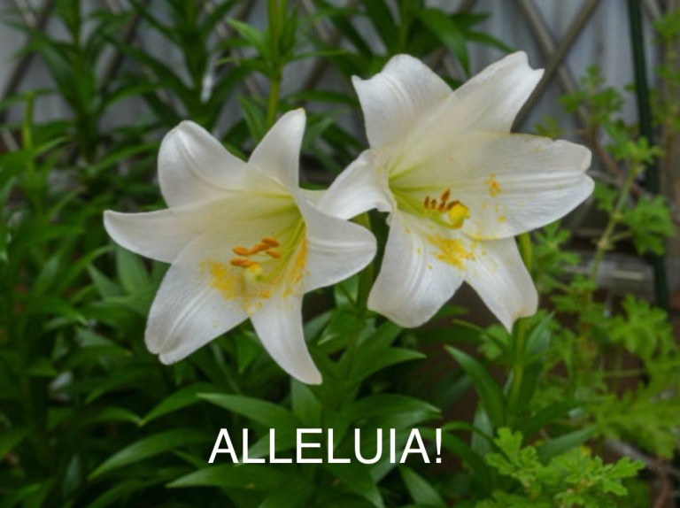 “The Seeing Heart” and the Confession of the Easter Faith – In All ...